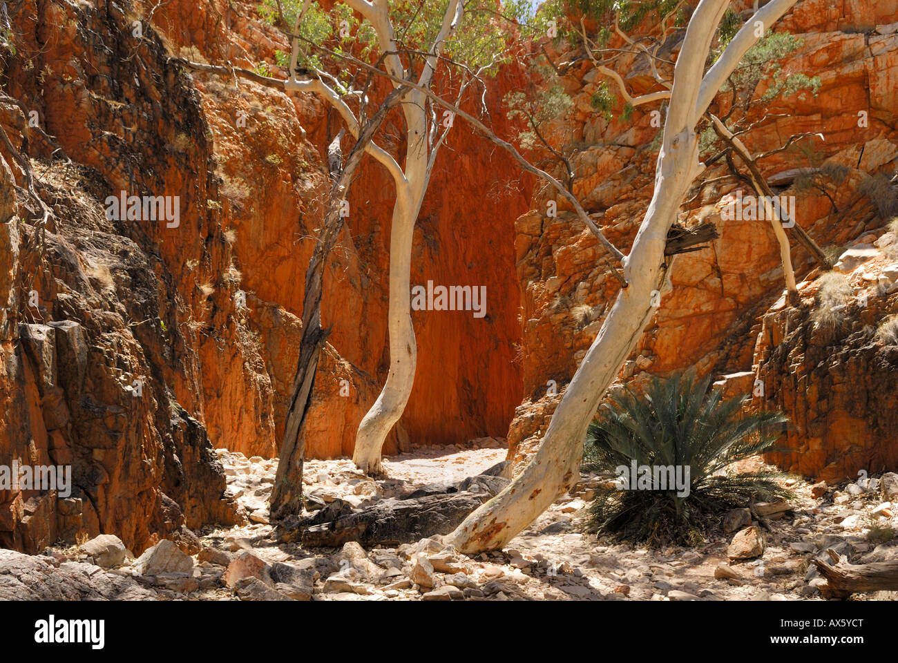 Canyon entrance, Standley Chasm, West Macdonnell Ranges, Northern ...
