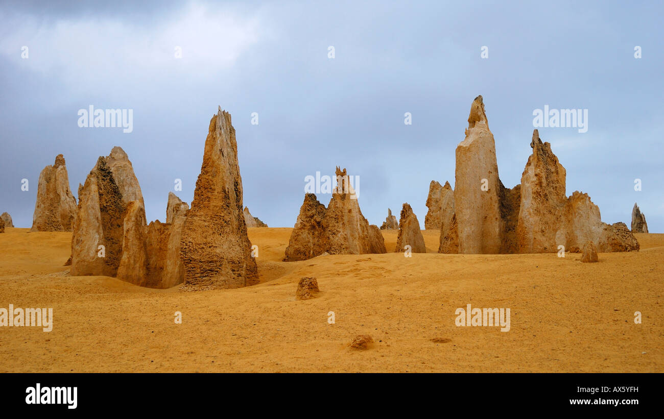 Limestone formations, Pinnacles Desert, Nambung National Park, Western ...