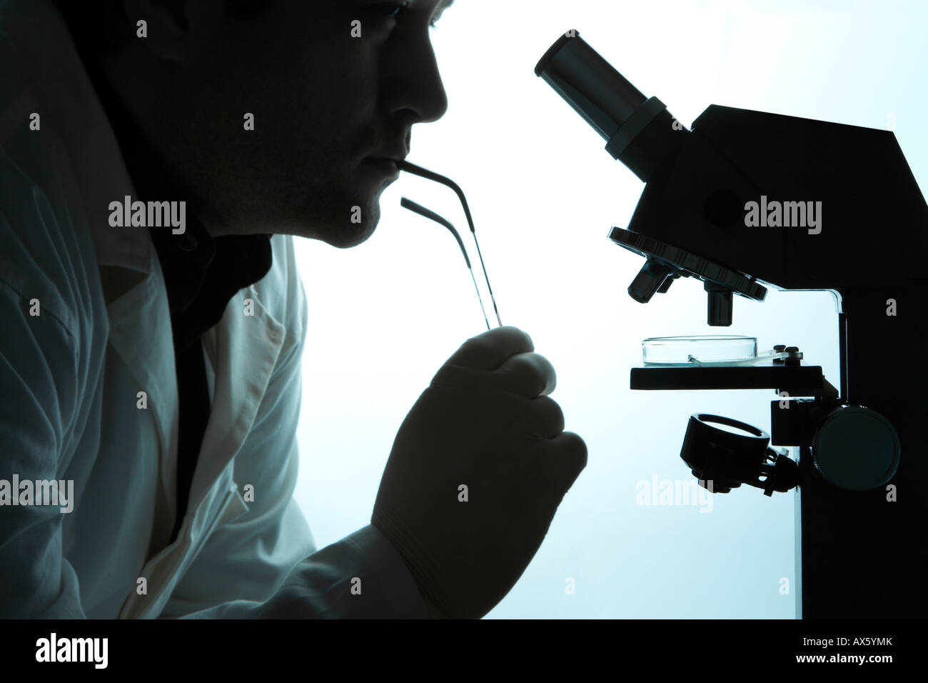 Looking into microscope silhouette hi-res stock photography and images ...