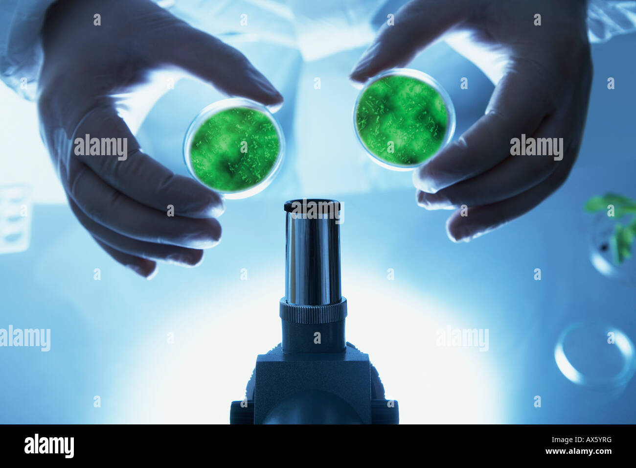 Culture sample hi-res stock photography and images - Alamy