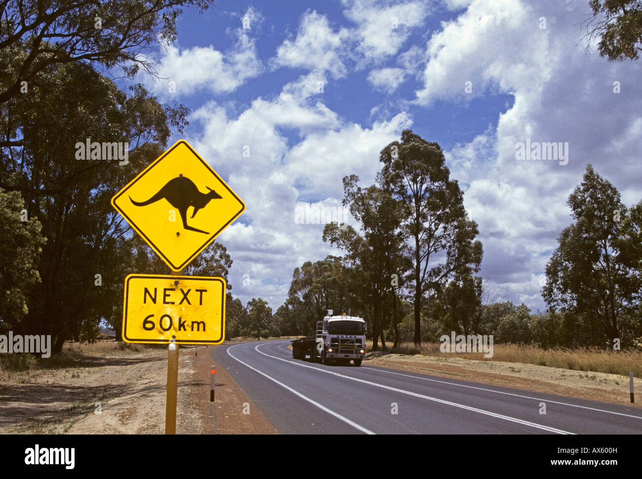 Kangaroo Crossing Sign