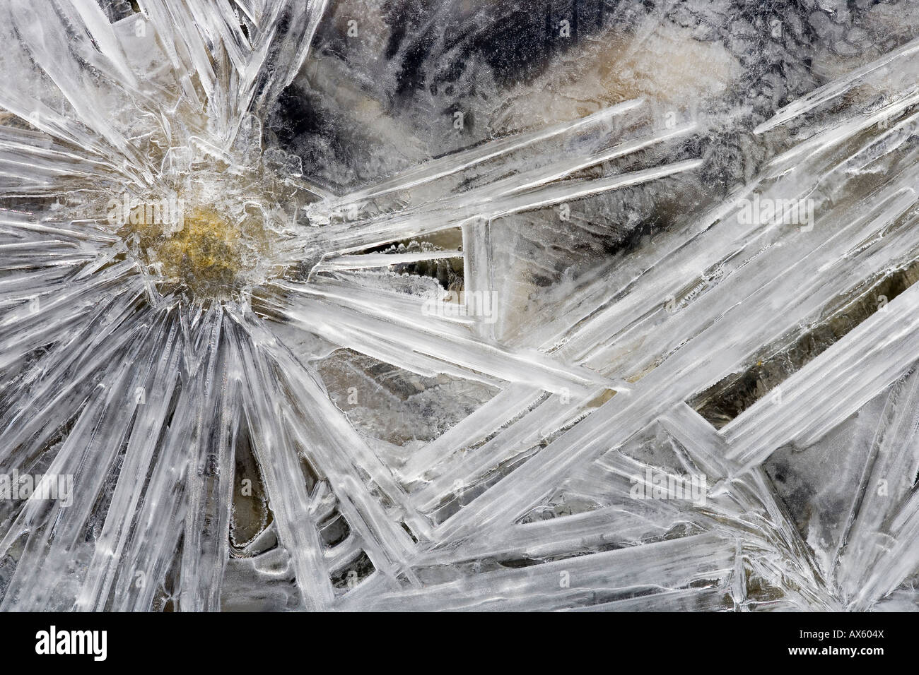 Stone frozen in ice, interesting ice formations Stock Photo - Alamy
