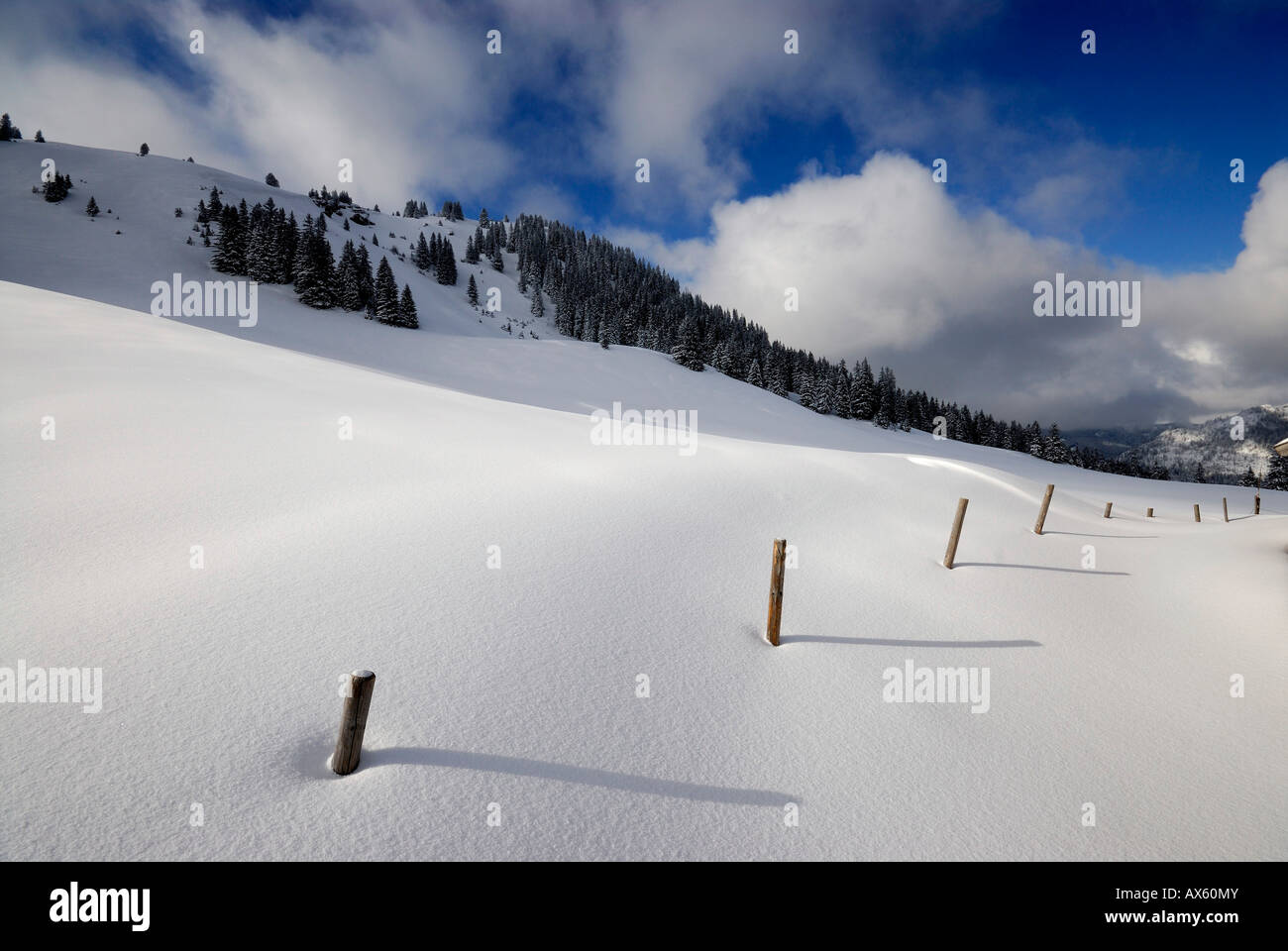 Landscape snowy mountains forests hi-res stock photography and images ...