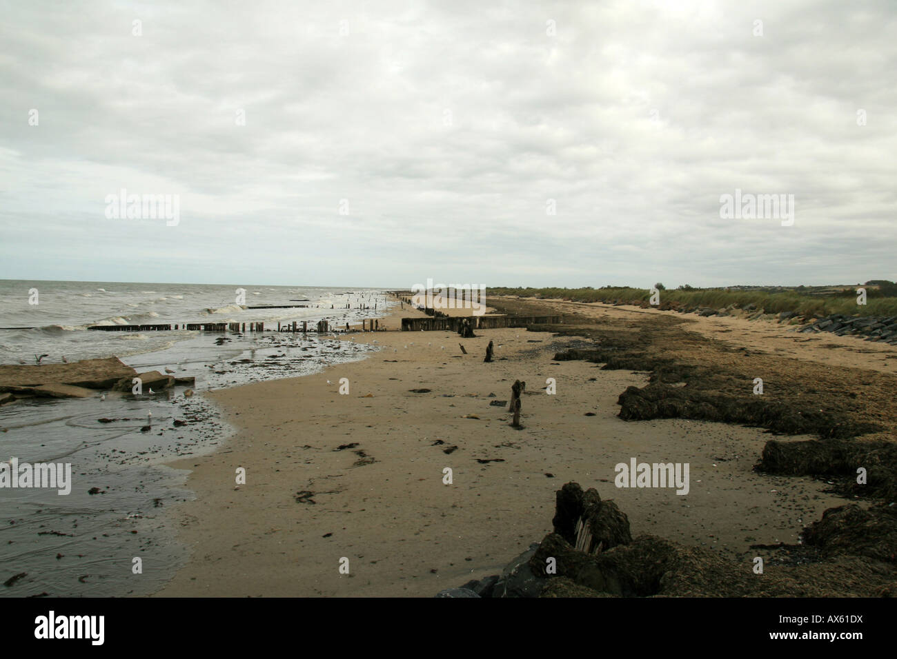 Asnelles hi-res stock photography and images - Alamy