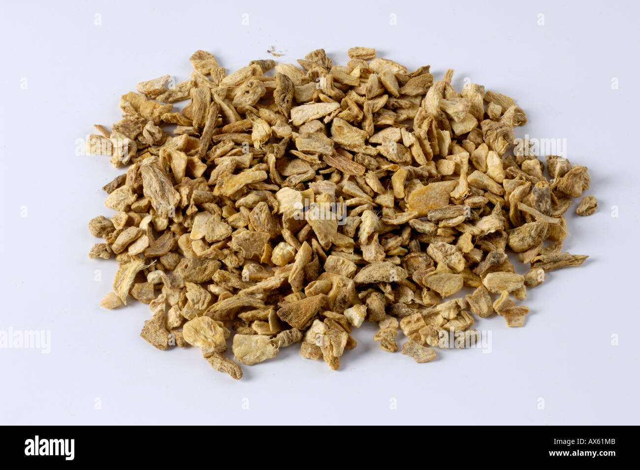 Common Ginger Roots Stock Photo - Alamy