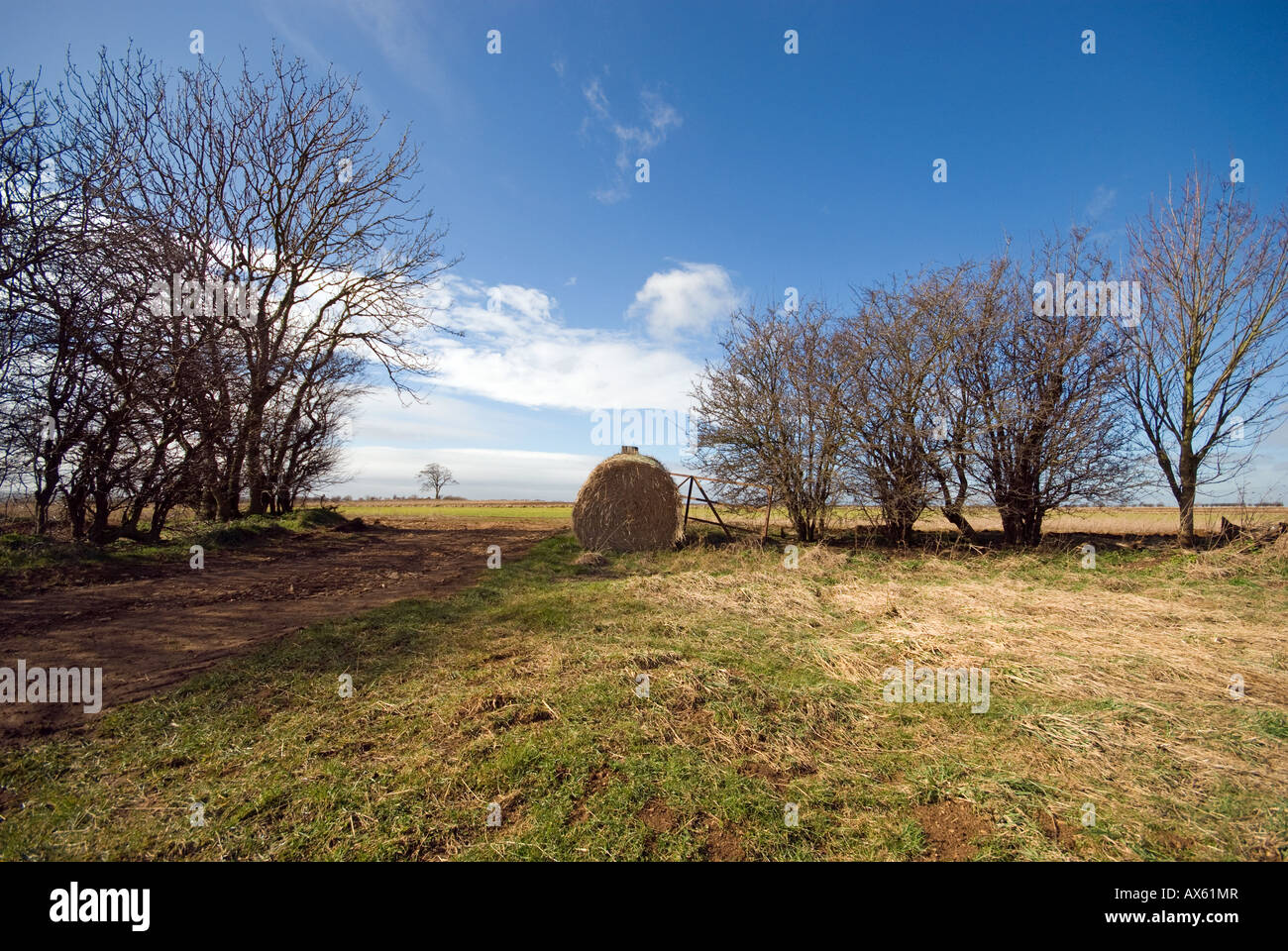 A rural scene. Lincolnshire, England Stock Photo - Alamy