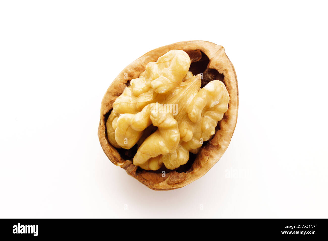 Half walnut hi-res stock photography and images - Alamy