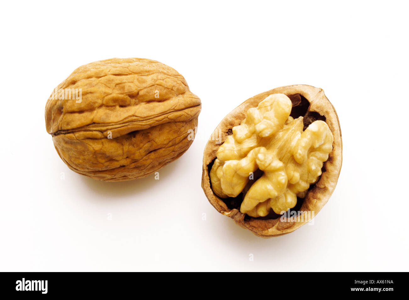 Juglans walnuts in their shells hi-res stock photography and images - Alamy
