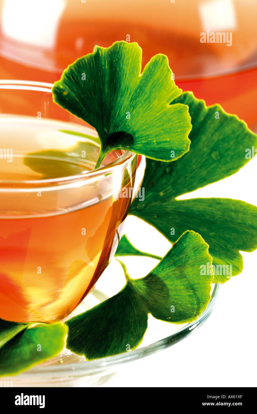 Ginko tea hi-res stock photography and images - Alamy