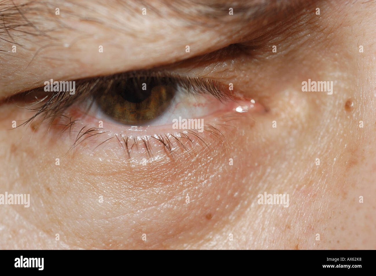 Exhausted gaze hi-res stock photography and images - Alamy