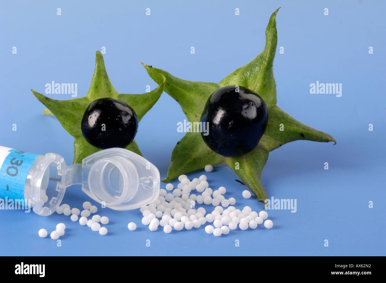 Deadly nightshade bella donna hi-res stock photography and images - Alamy