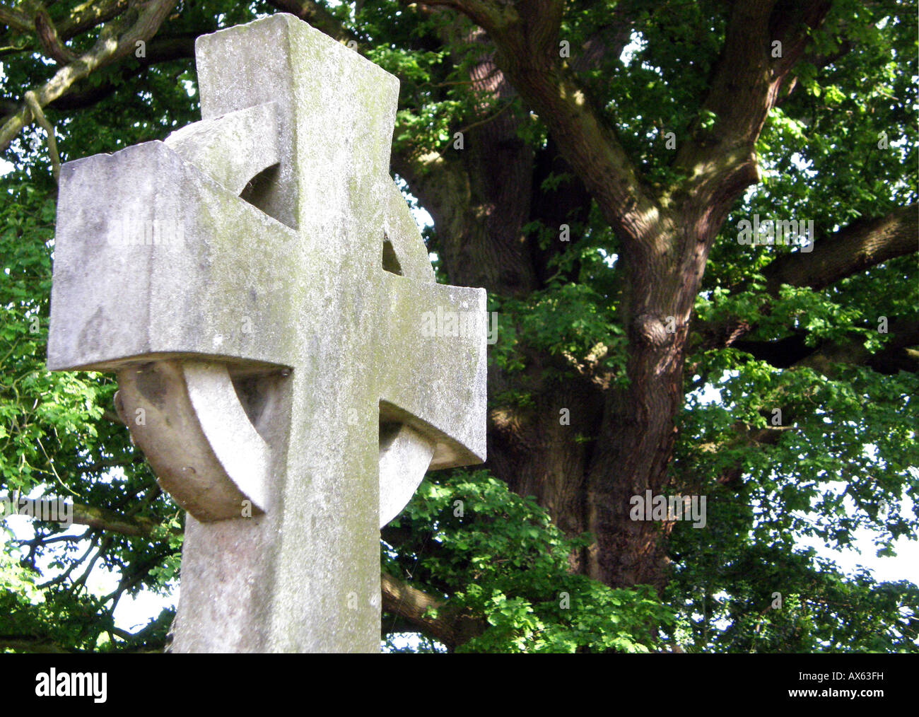 Symbolic stone cross gravestone with trees in background Stock Photo ...