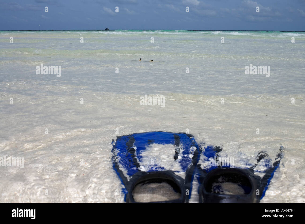 Flippers at the beach Stock Photo - Alamy