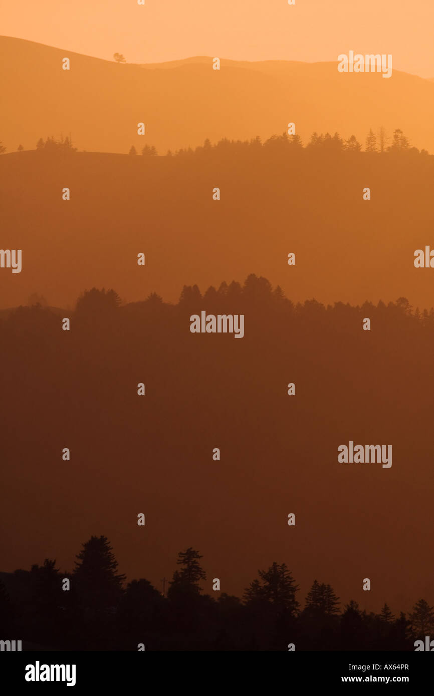 Russian ridge preserve hi-res stock photography and images - Alamy