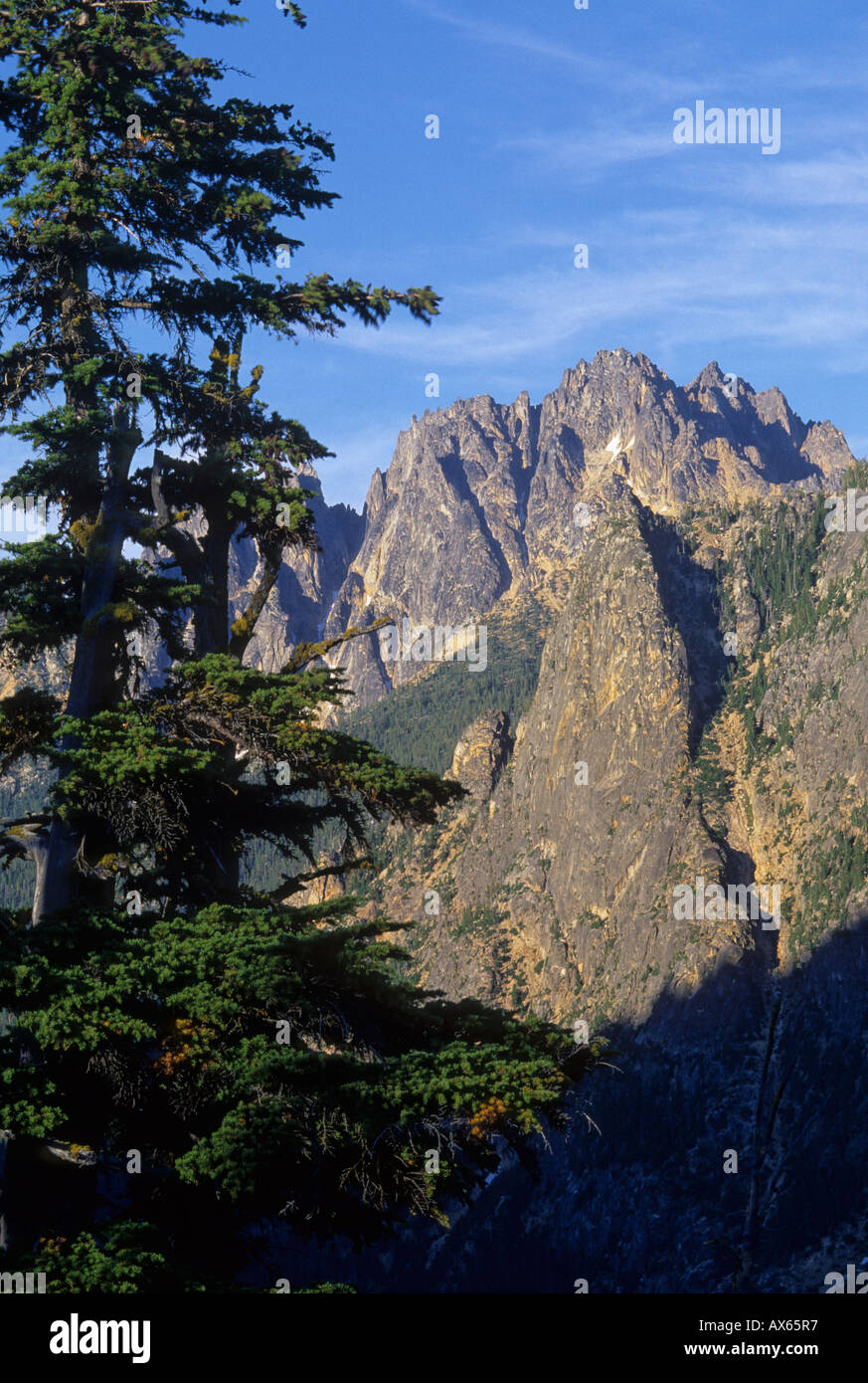 Snagtooth Ridge near Washington Pass in Okanogan National Forest ...