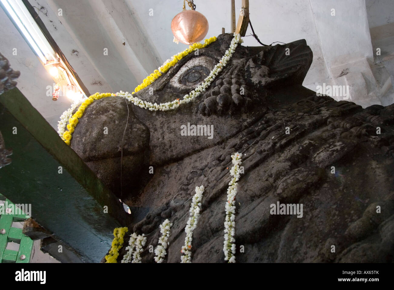 The Bull Temple of Nandi the sacred bull in Bangalore India Stock Photo ...