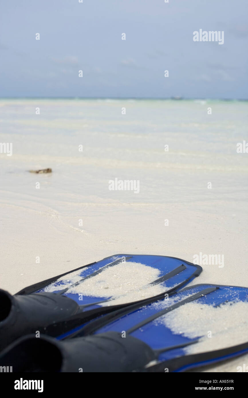 Flippers at the beach Stock Photo - Alamy