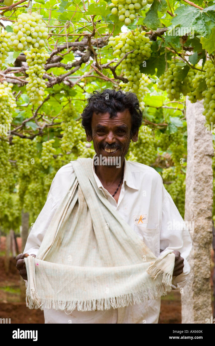 India wine growing hi-res stock photography and images - Alamy