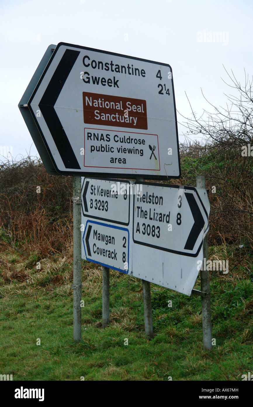 Helston cornish seal sanctuary hi-res stock photography and images - Alamy