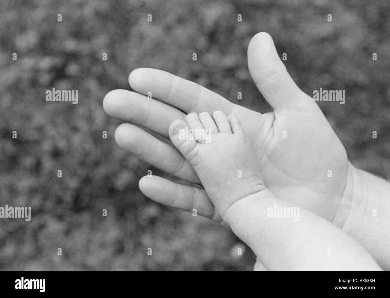 Foot attachment Black and White Stock Photos & Images - Alamy