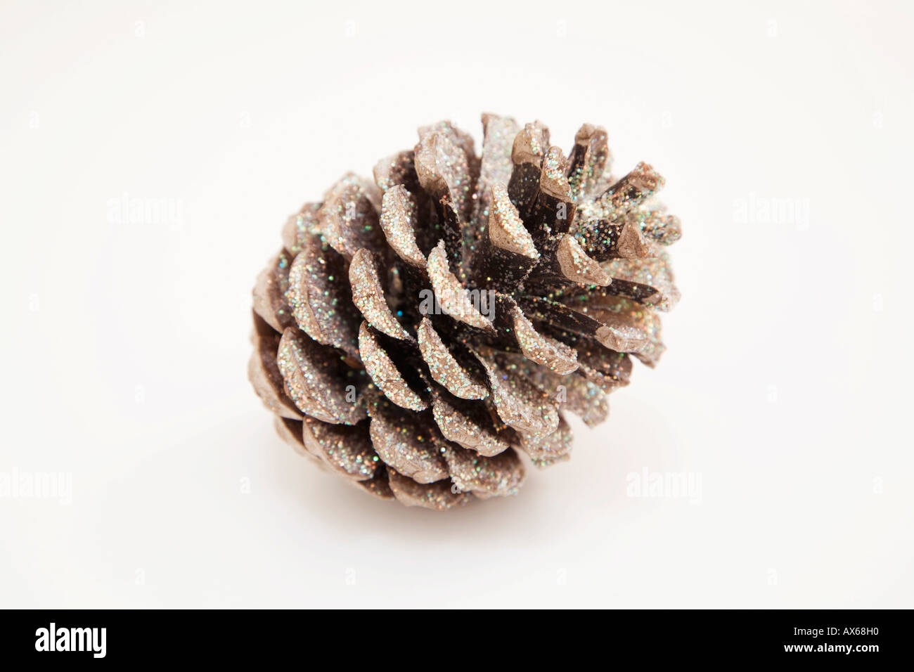 Fir cone, close-up Stock Photo - Alamy