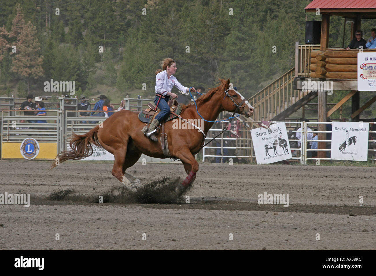 Young girl barrel racing at a rodeo Stock Photo - Alamy
