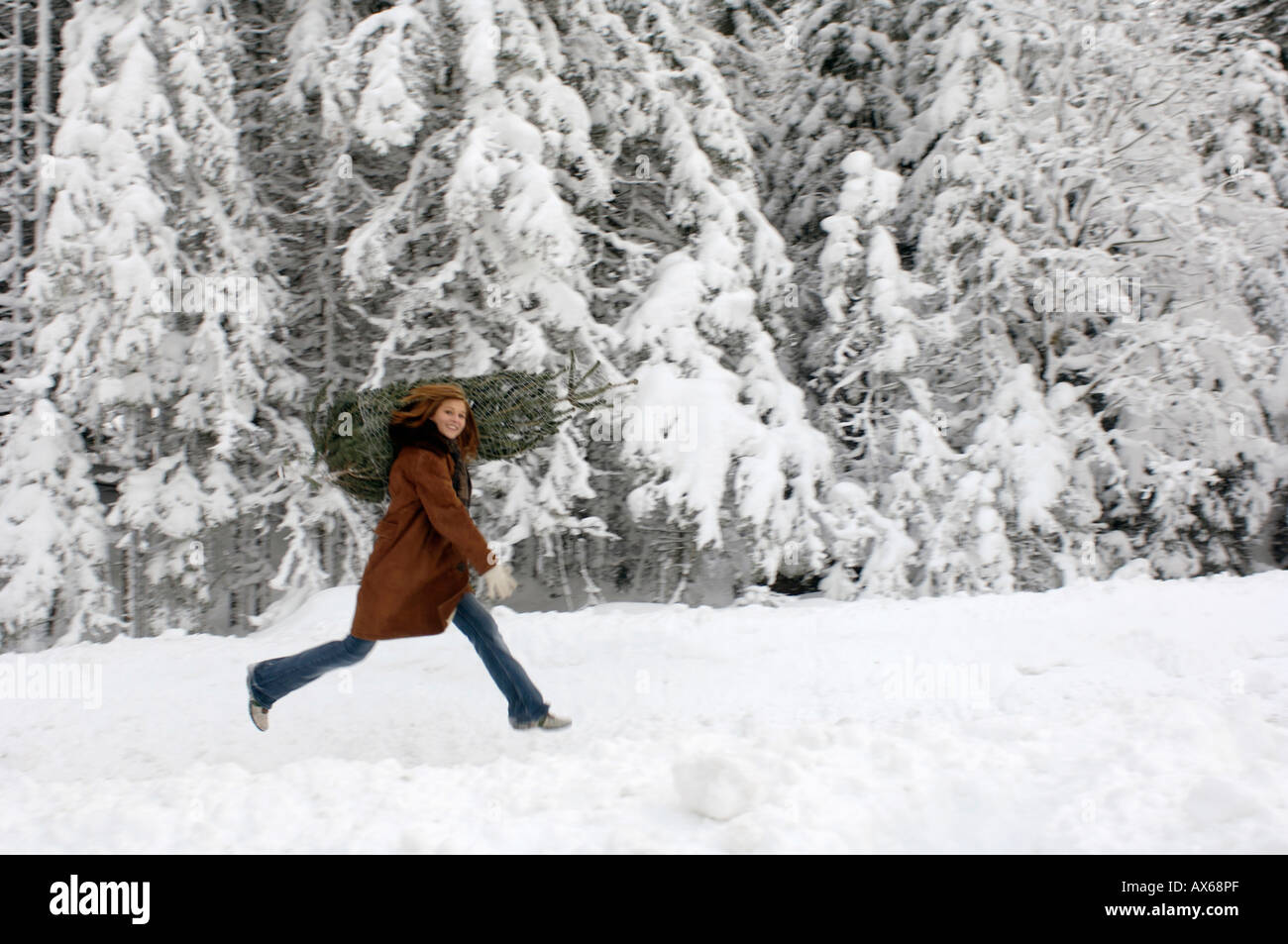 Young woman carrying Christmas tree on shoulders in snow, smiling Stock ...