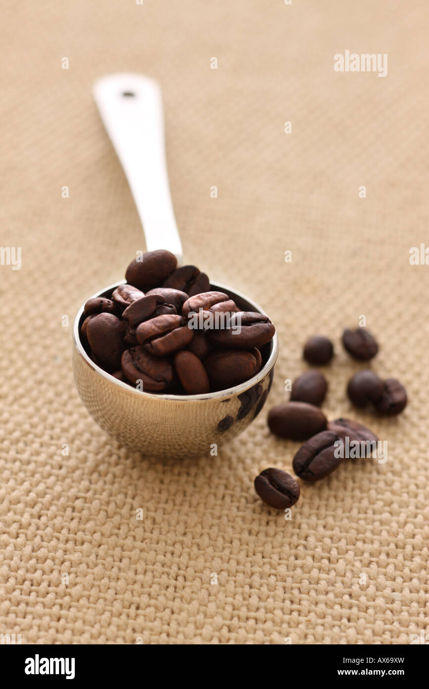 Teaspoon of coffee beans Stock Photo - Alamy