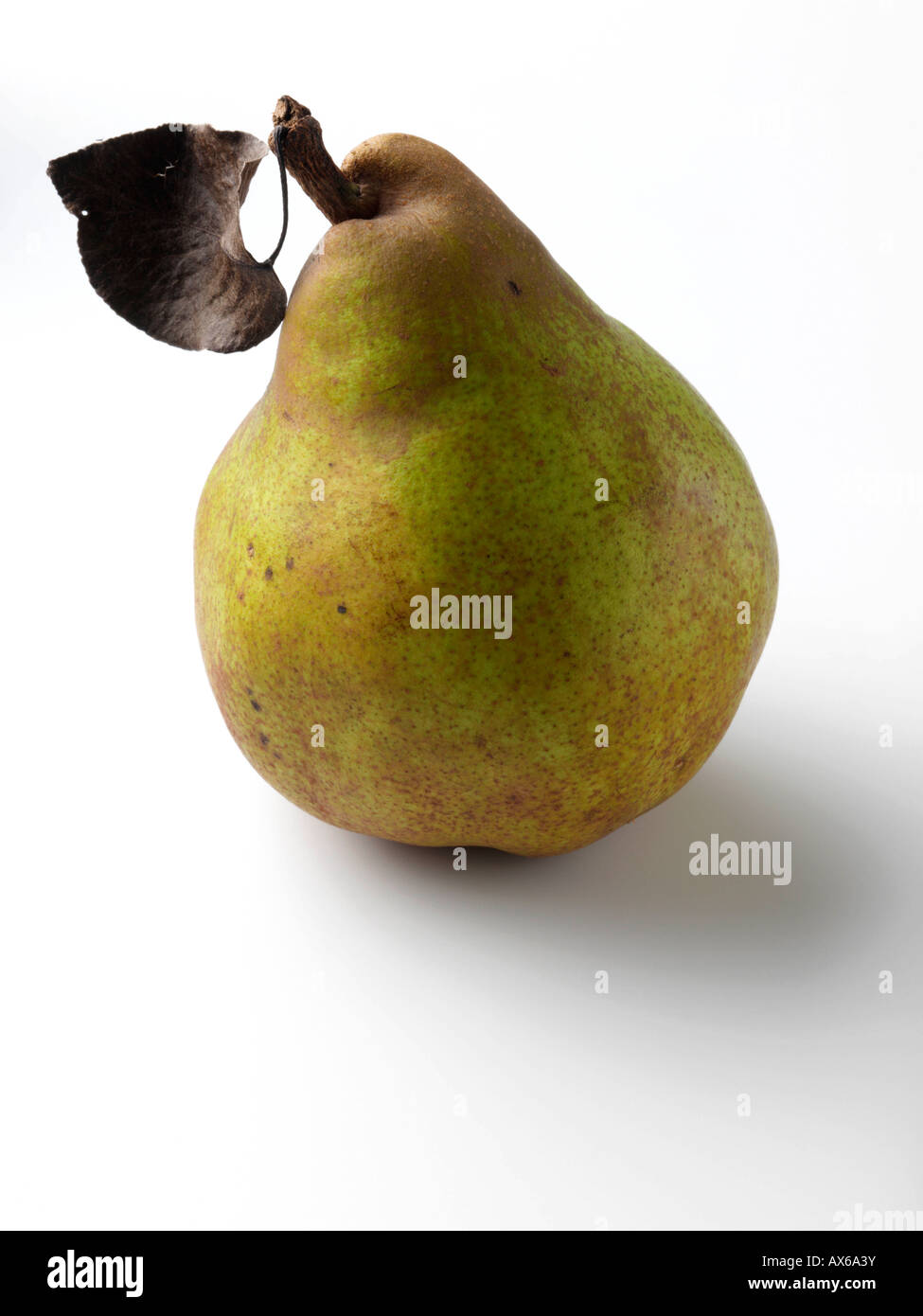 A comice pear on a white background editorial food Stock Photo - Alamy