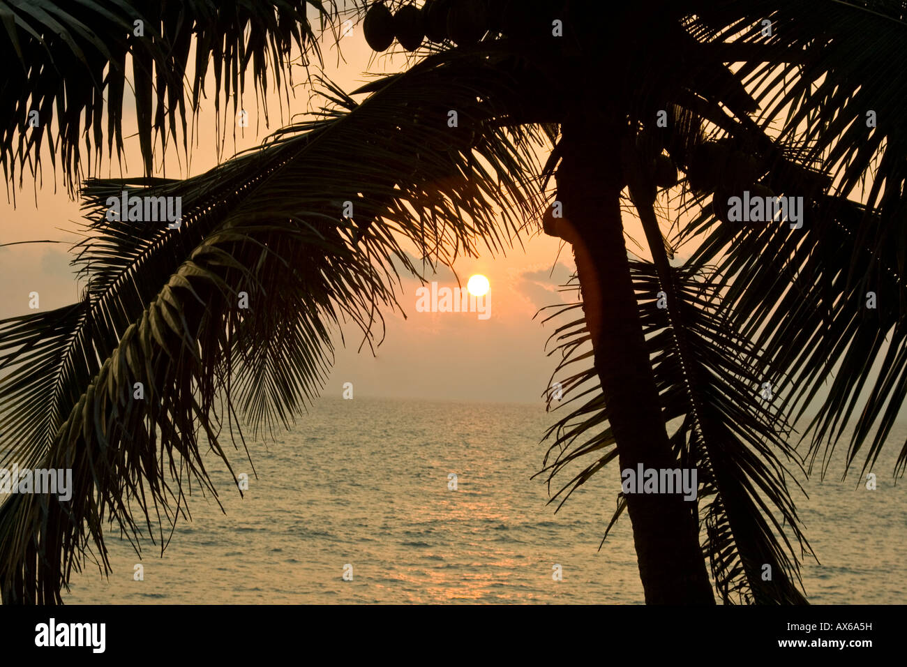 Tropical Beach at Sunset in Varkala India Stock Photo - Alamy