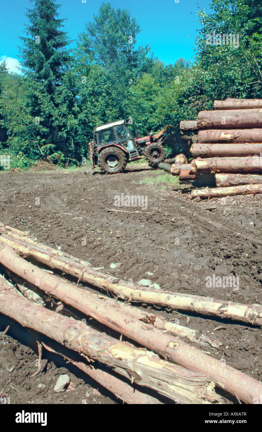 Transport loading trees hi-res stock photography and images - Alamy