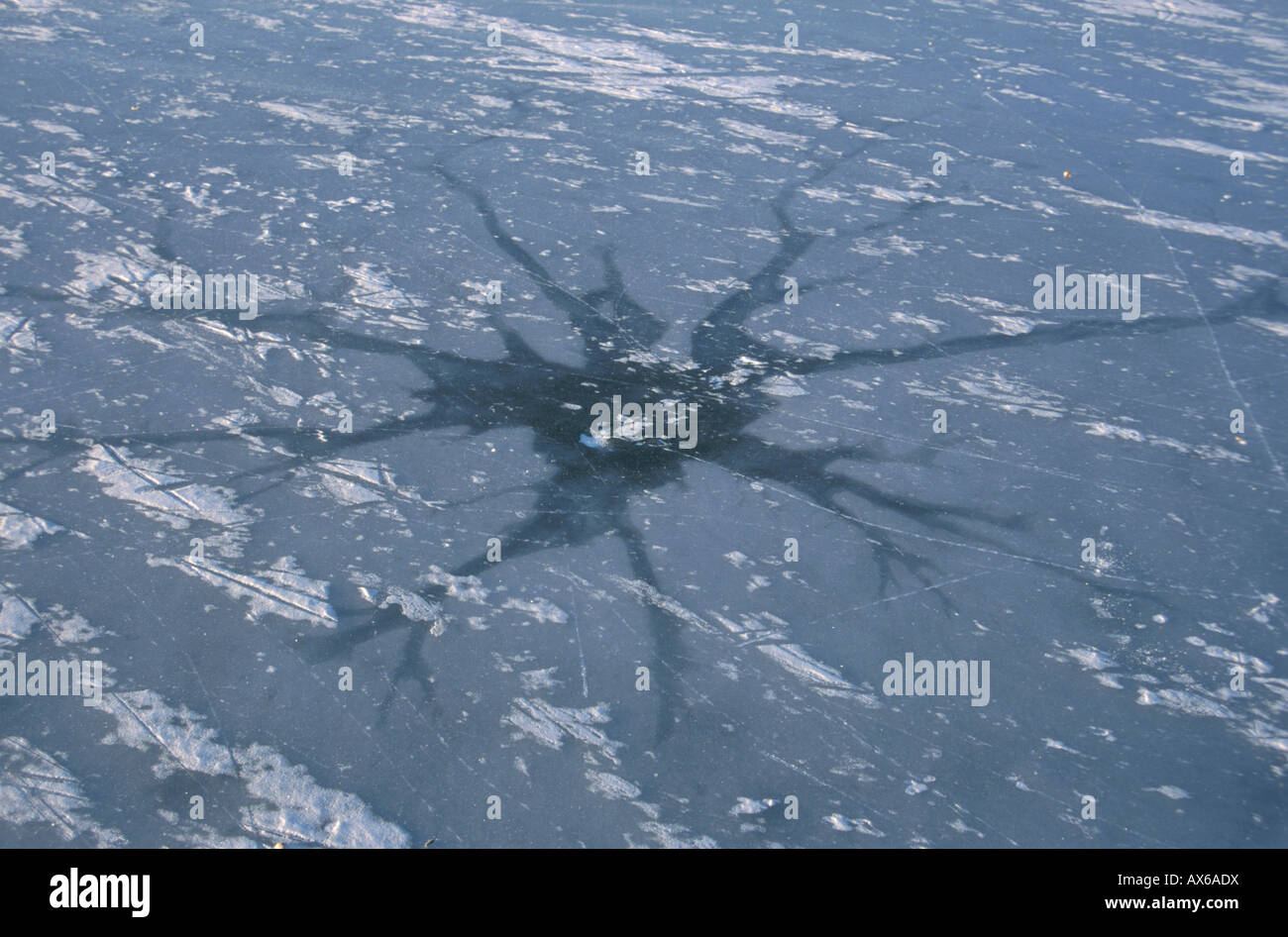 Cold crack danger winter in ice hi-res stock photography and images - Alamy