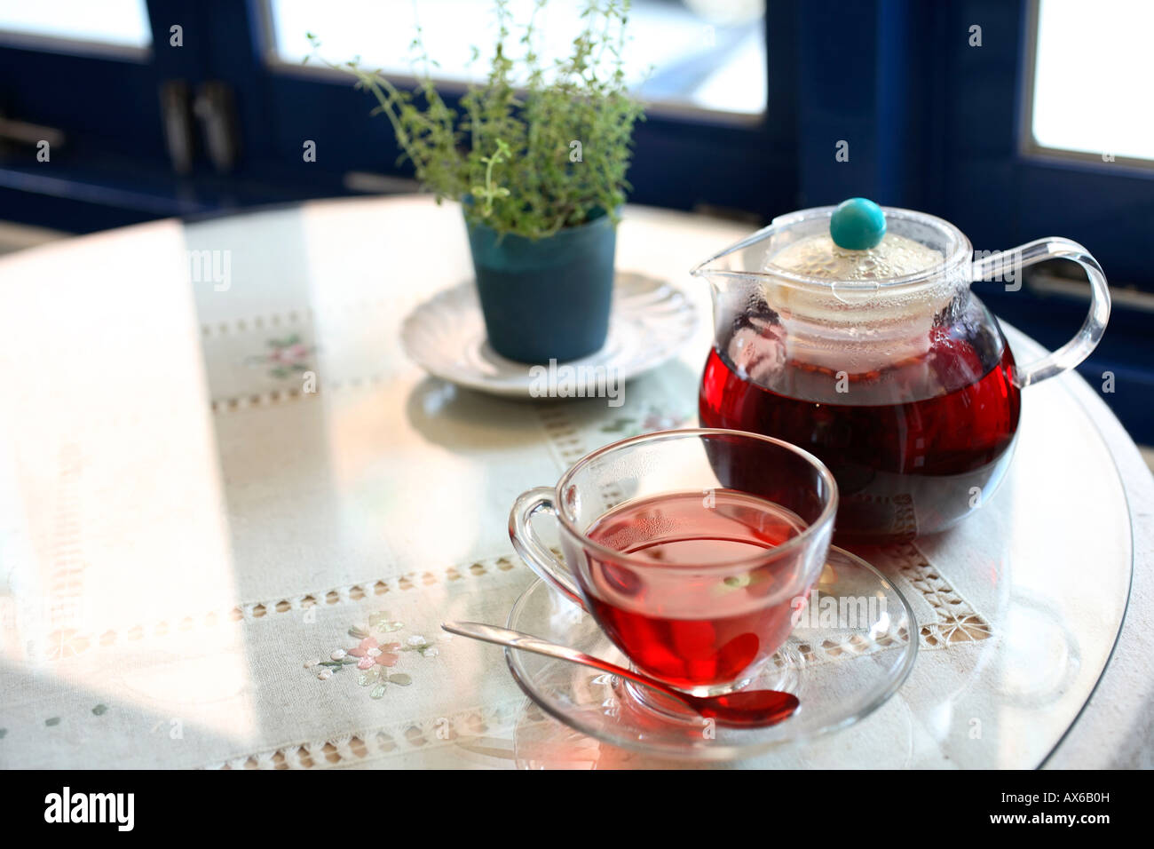black tea and plant Stock Photo - Alamy
