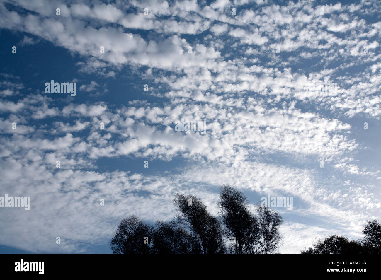 Stratocumulus cloud hi-res stock photography and images - Alamy