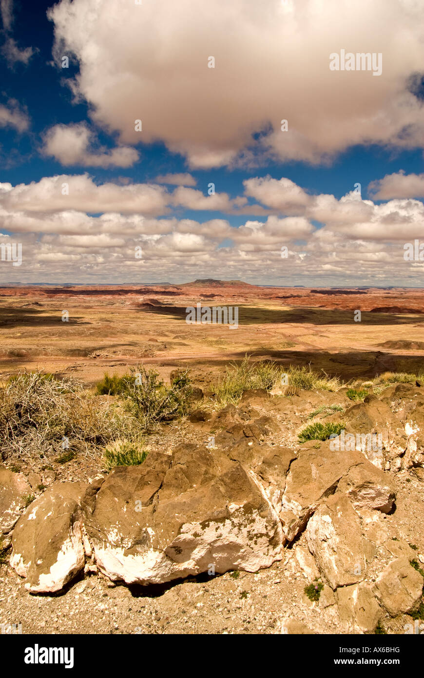 vertical landscape of painted desert with large clouds and rocks in ...
