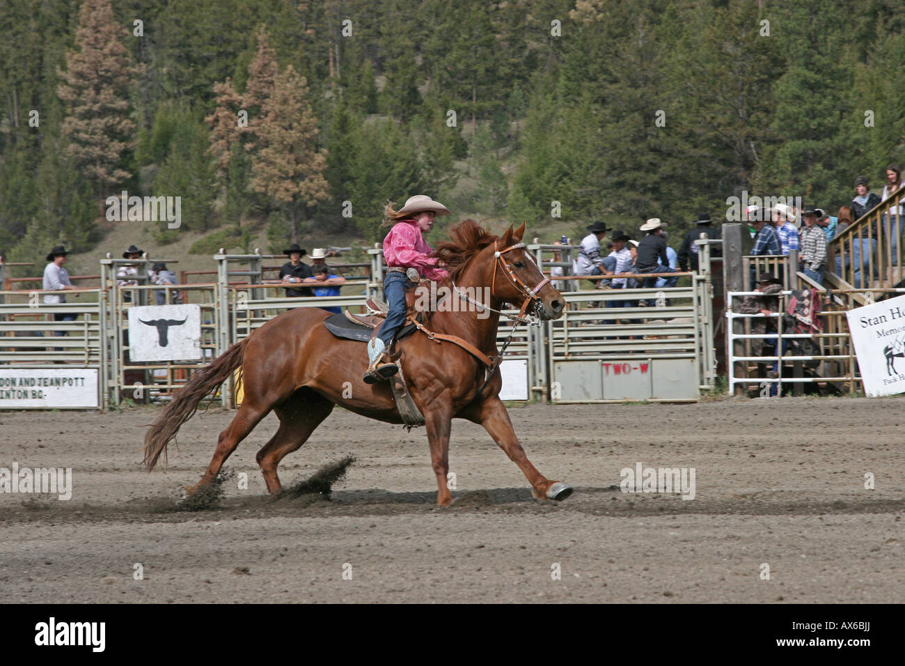 Young girl barrel racing at a rodeo Stock Photo - Alamy