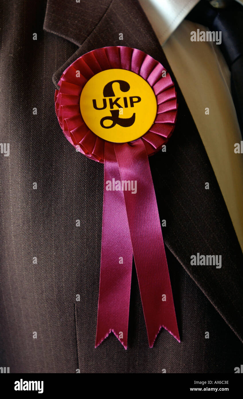 Ukip party badge hi-res stock photography and images - Alamy