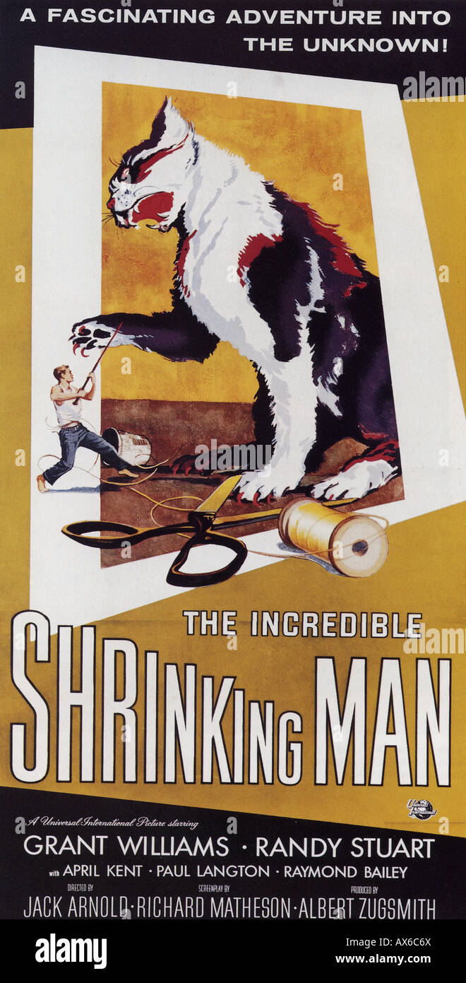 THE INCREDIBLE SHRINKING MAN poster for 1957 U-I bw film Stock Photo ...