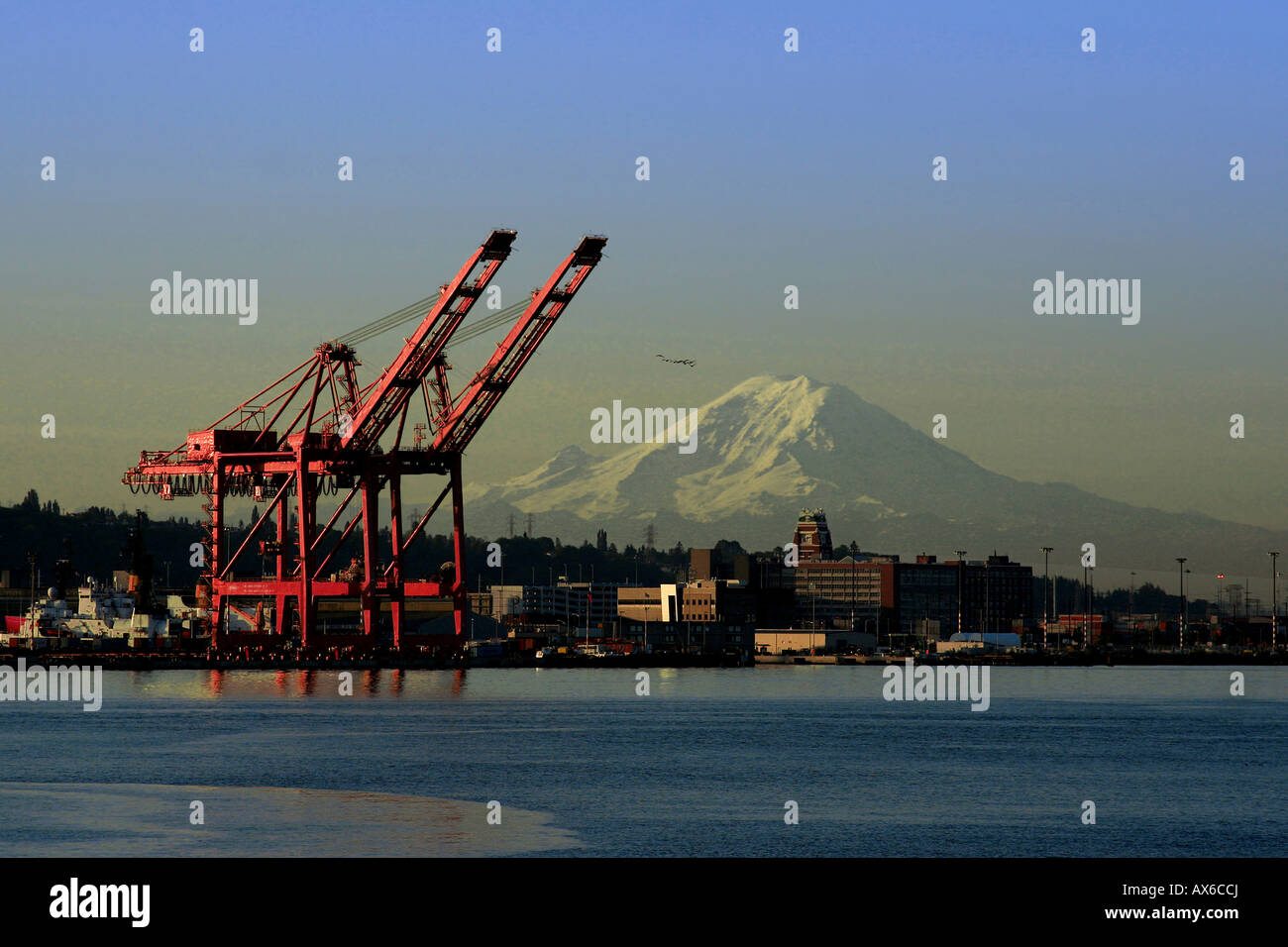 Cargo cranes in the Port of Seattle Washington with Mount Rainier and ...