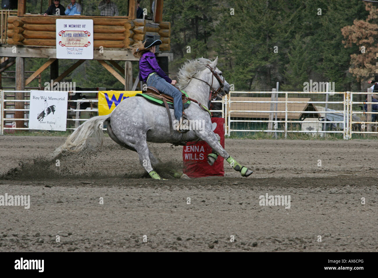 Young girl barrel racing at a rodeo Stock Photo - Alamy