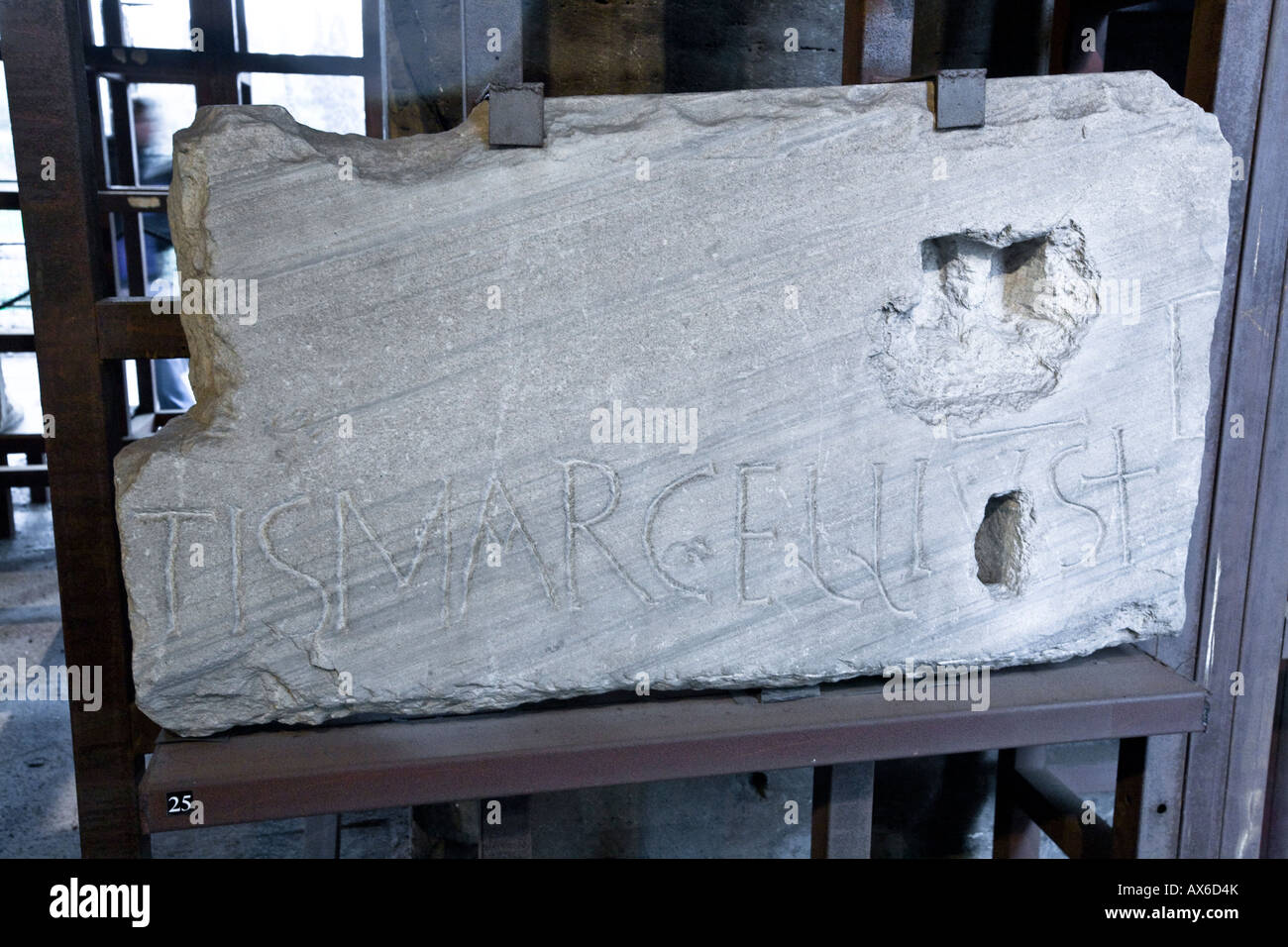 Colosseum inscription hi-res stock photography and images - Alamy