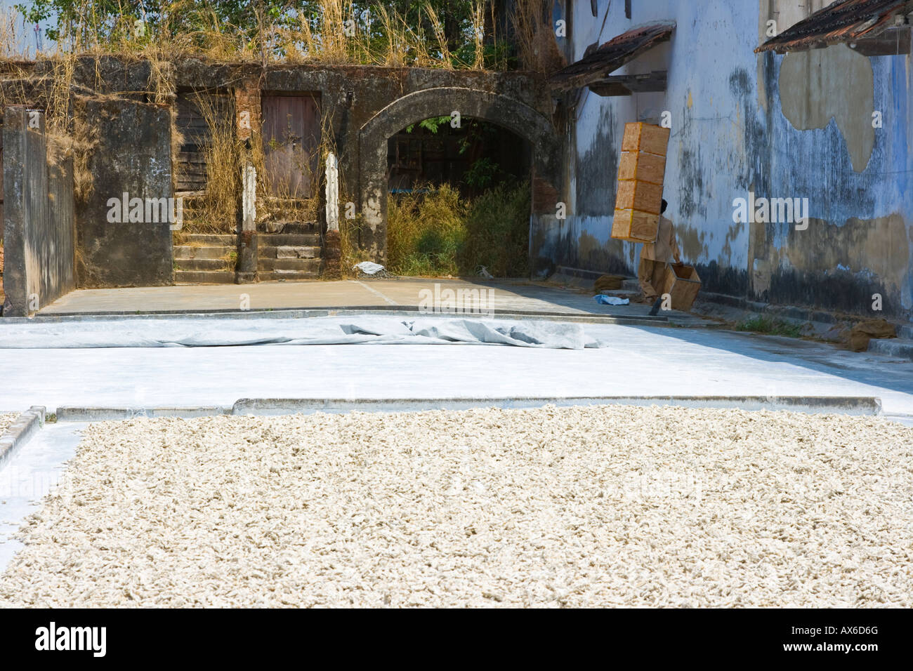 Drying ginger hi-res stock photography and images - Alamy