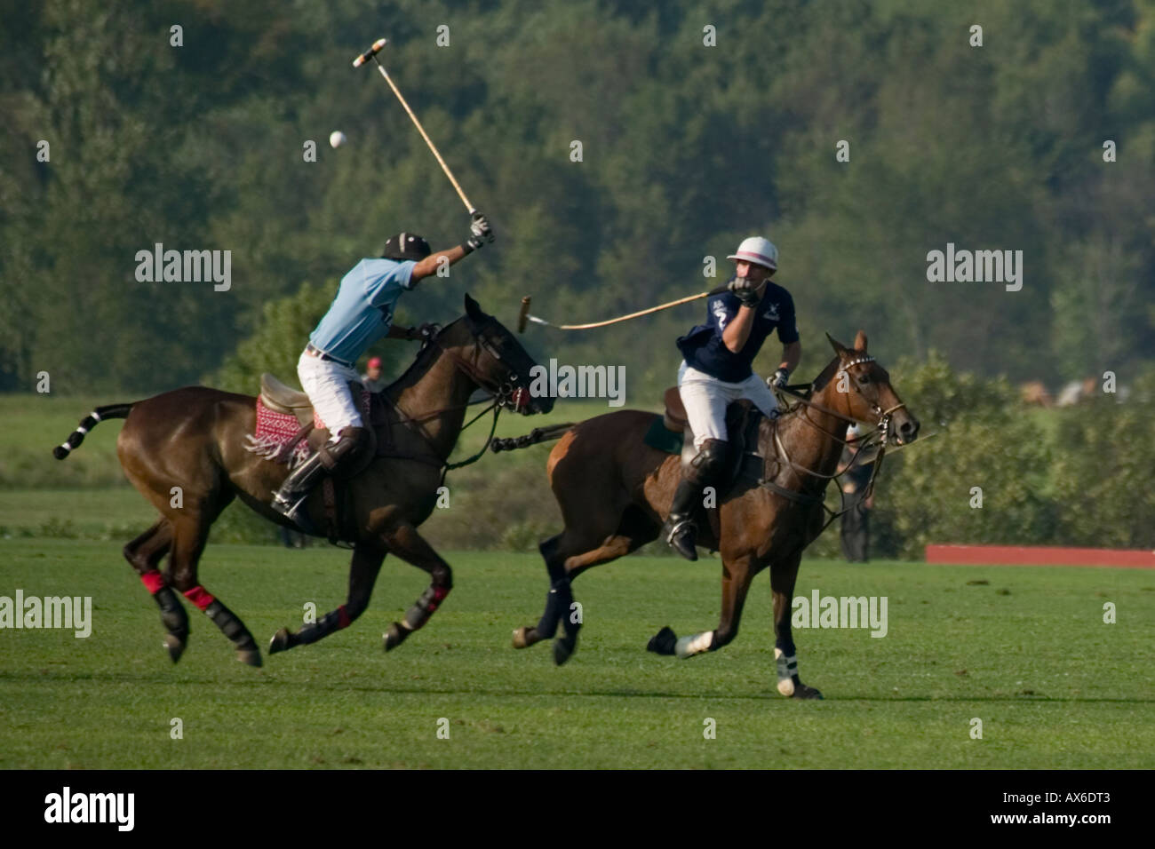 Polo match hi-res stock photography and images - Alamy