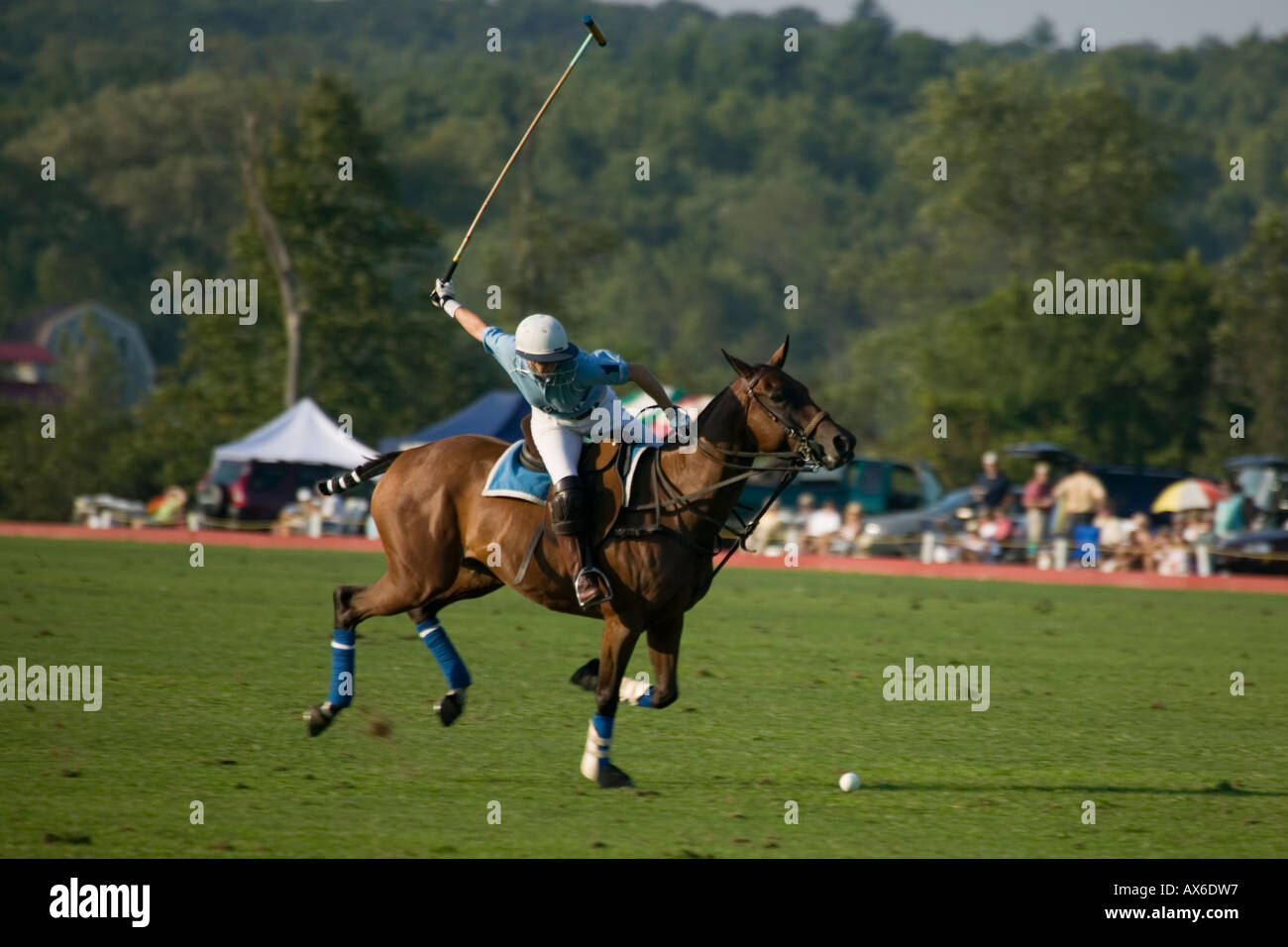 Polo match hi-res stock photography and images - Alamy