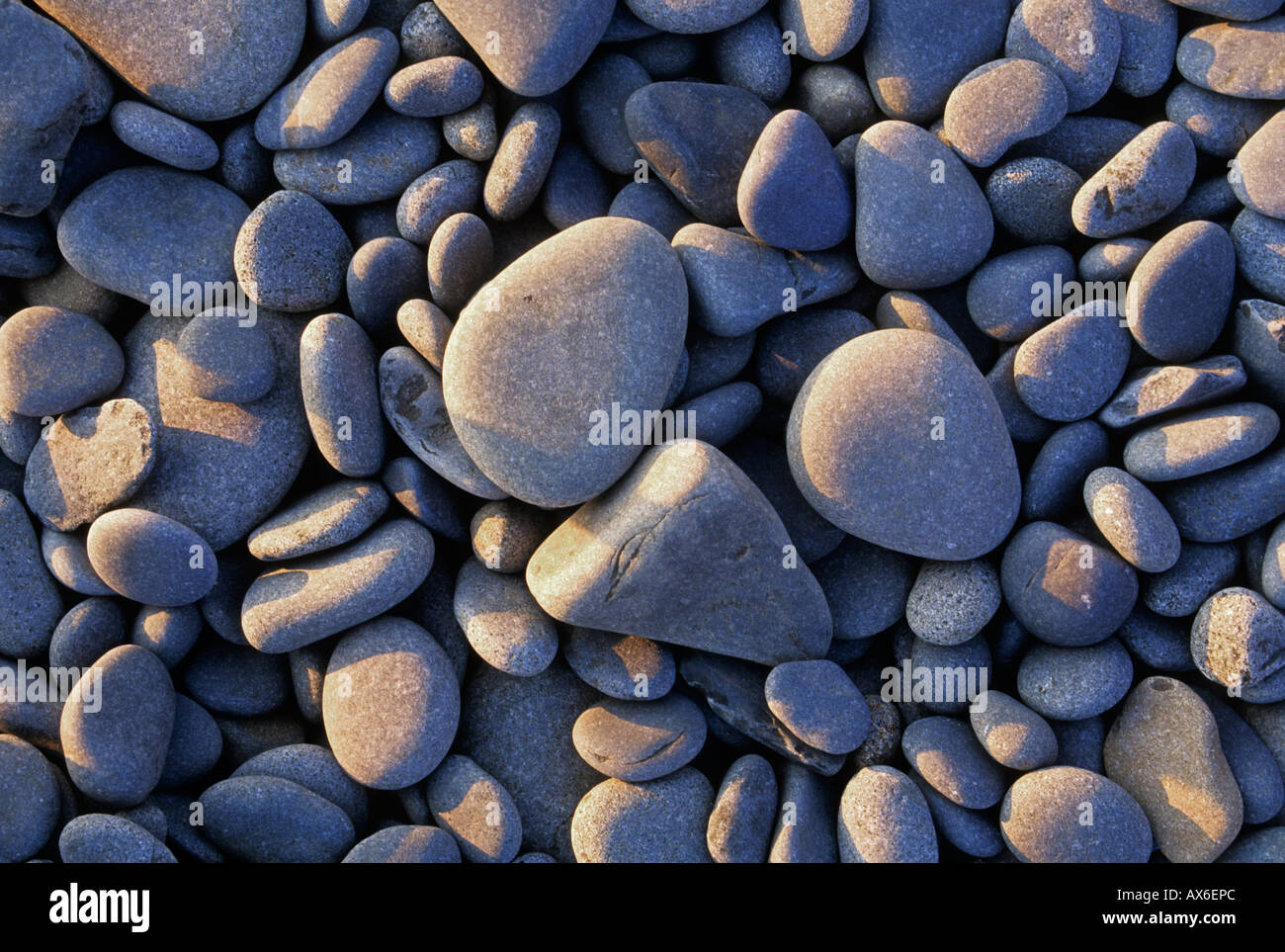 Water worn rocks on the beach at Oswald West State Park, Oregon, USA ...