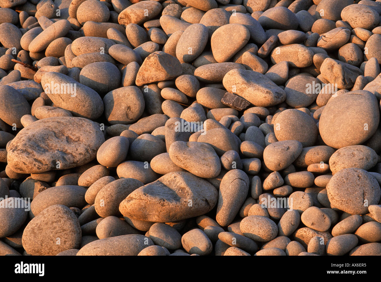 Water worn rocks on the beach at Oswald West State Park, Oregon, USA ...