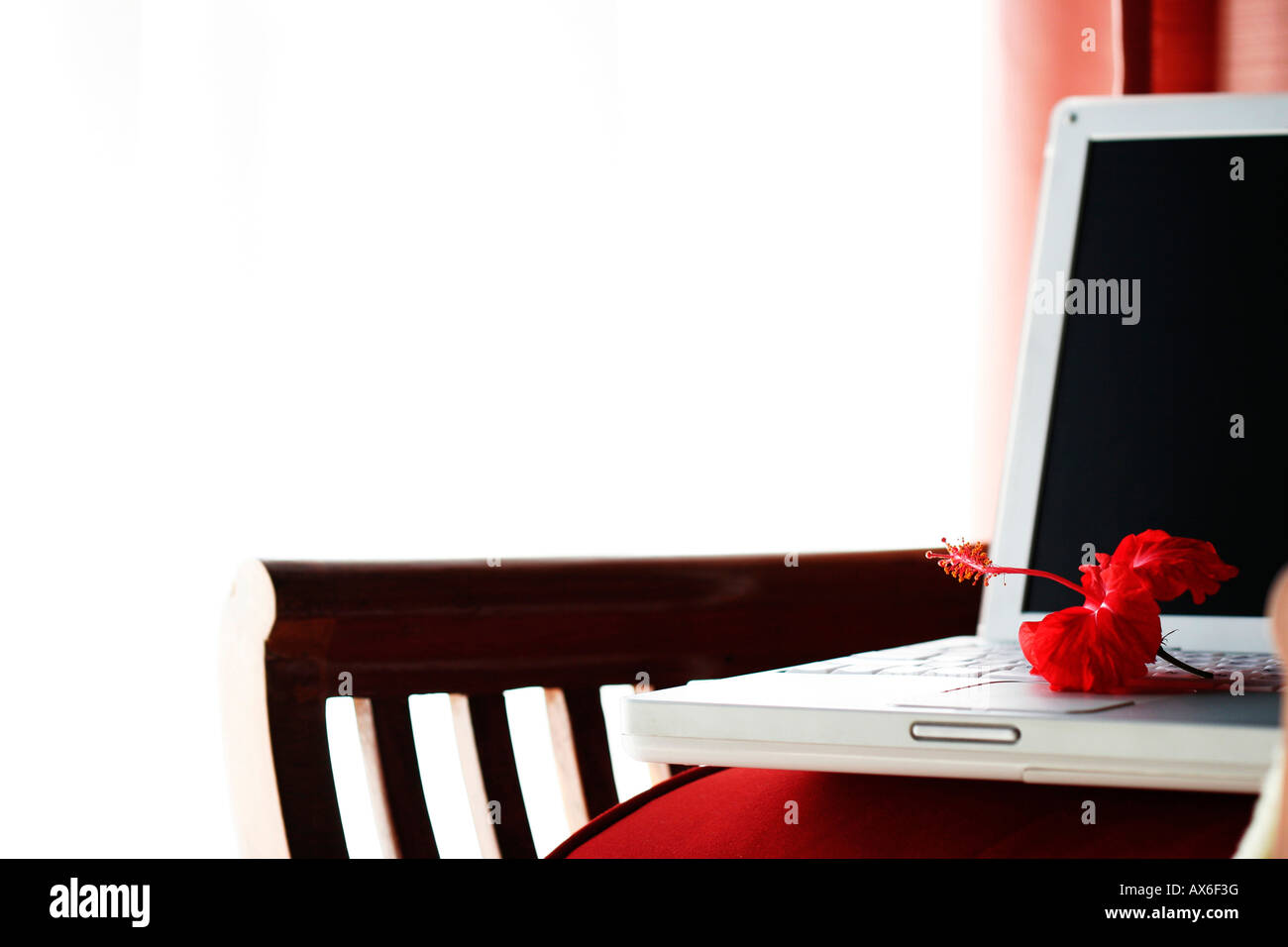 computer and flower Stock Photo - Alamy