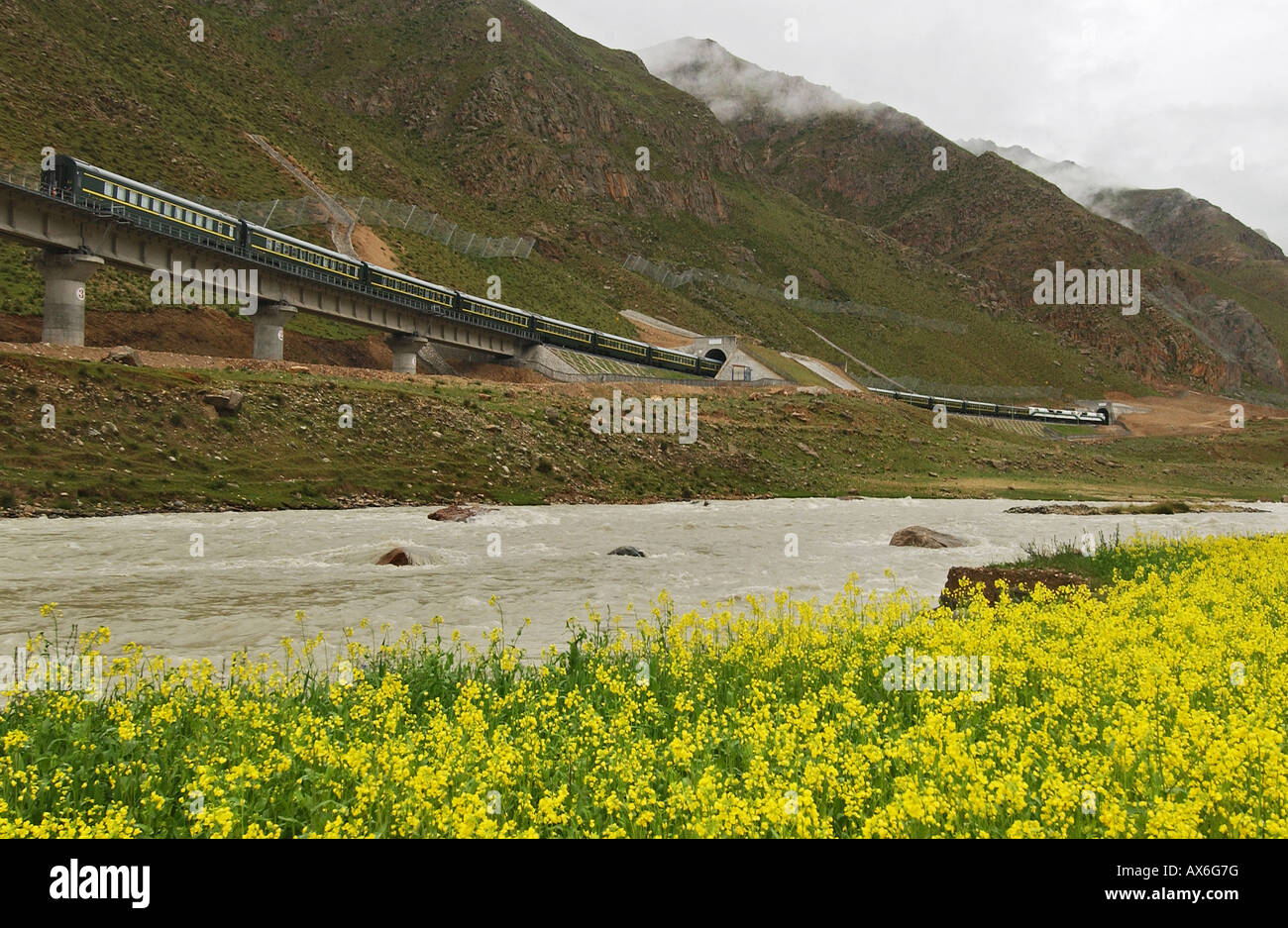 Tibetan railway hi-res stock photography and images - Alamy