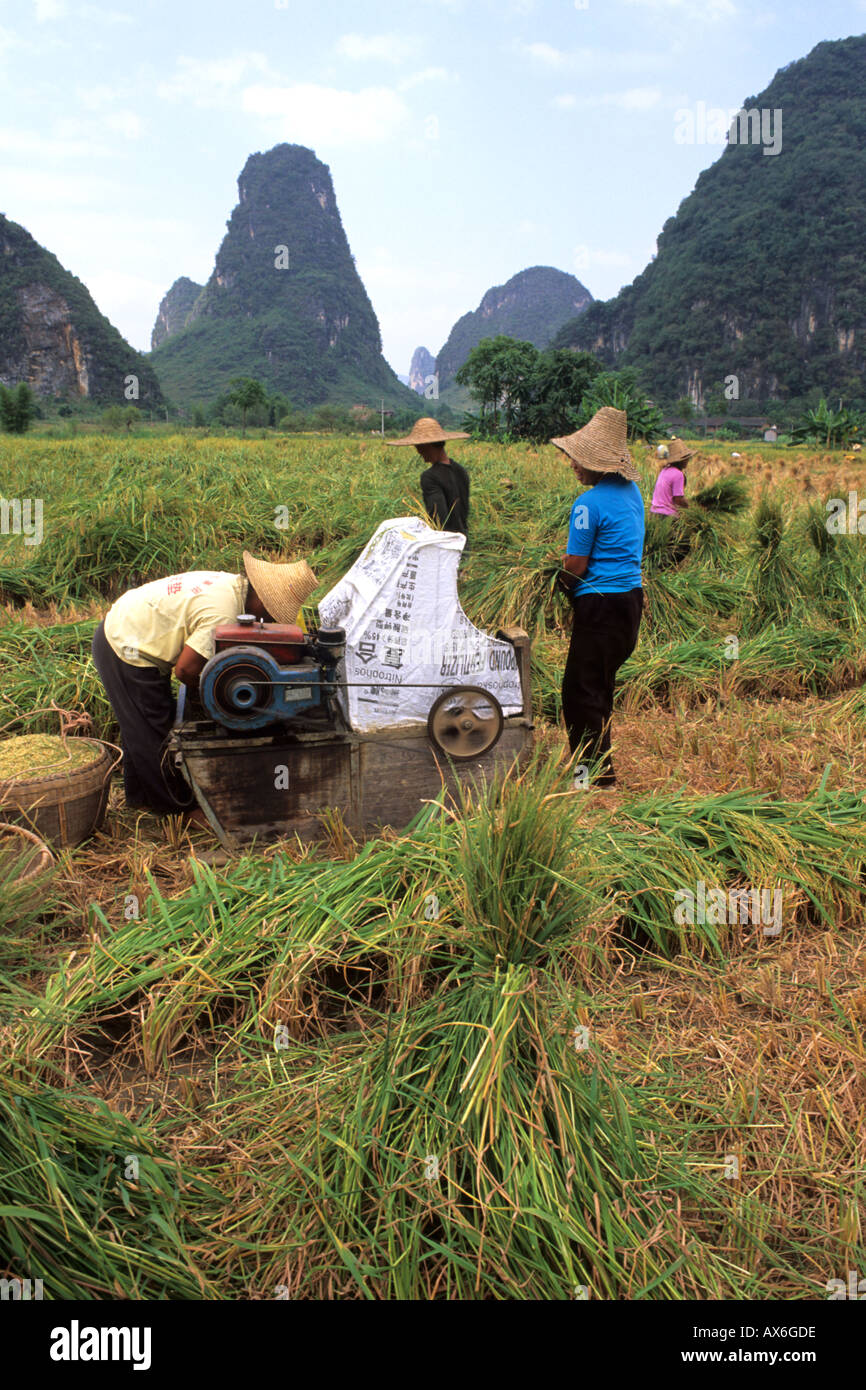 Grinding rice hi-res stock photography and images - Alamy