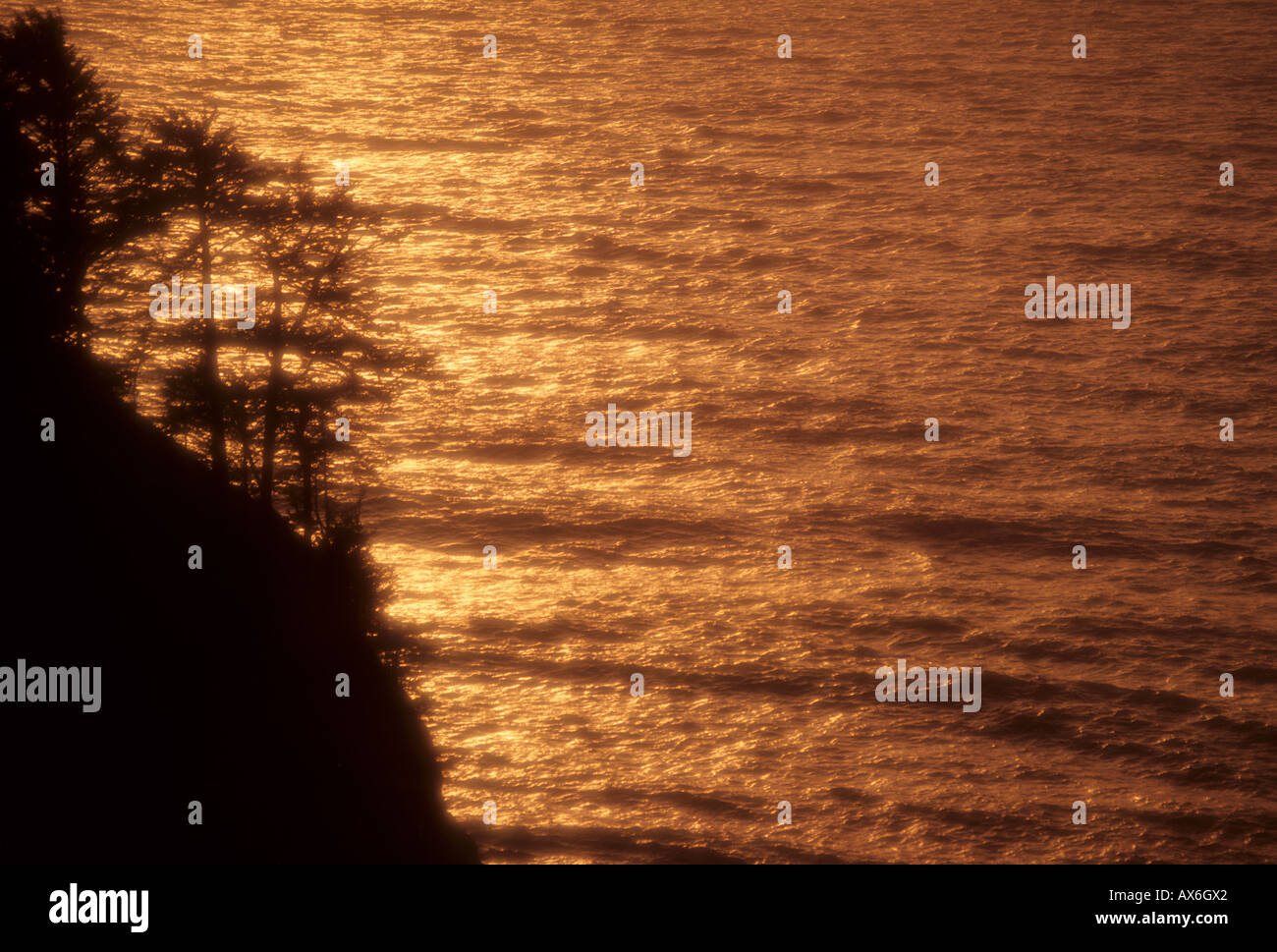 Trees on the rocky cliffs above the Pacific Ocean at Cape Meares State ...
